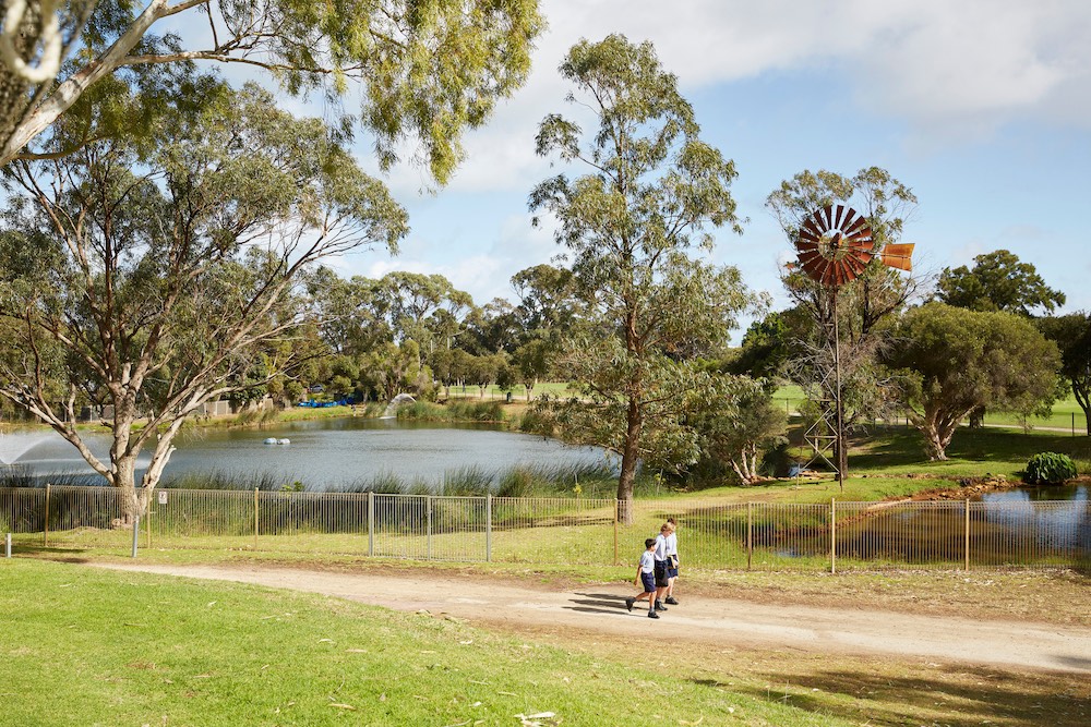 Hale Swim School - Hale School