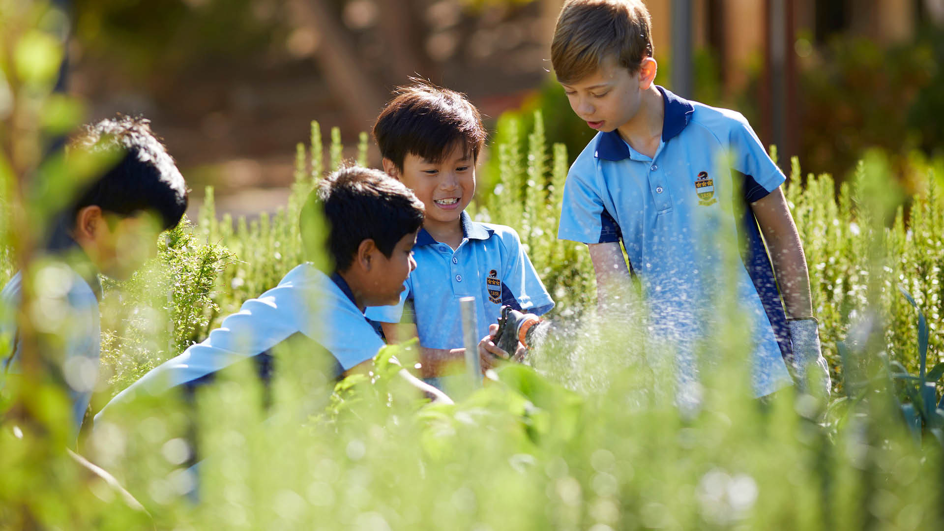 Wellbeing - Hale School