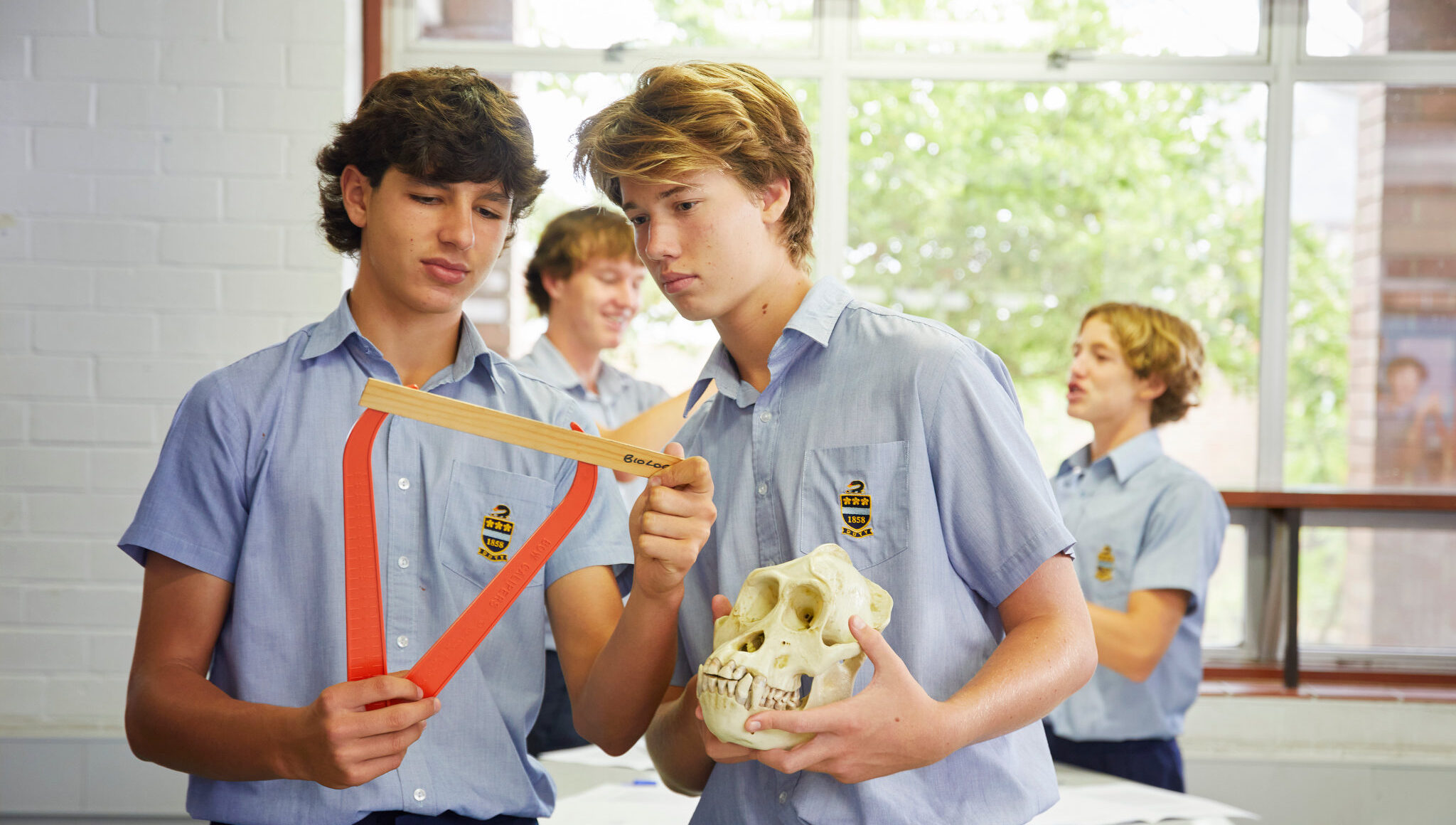 Learning - Hale School